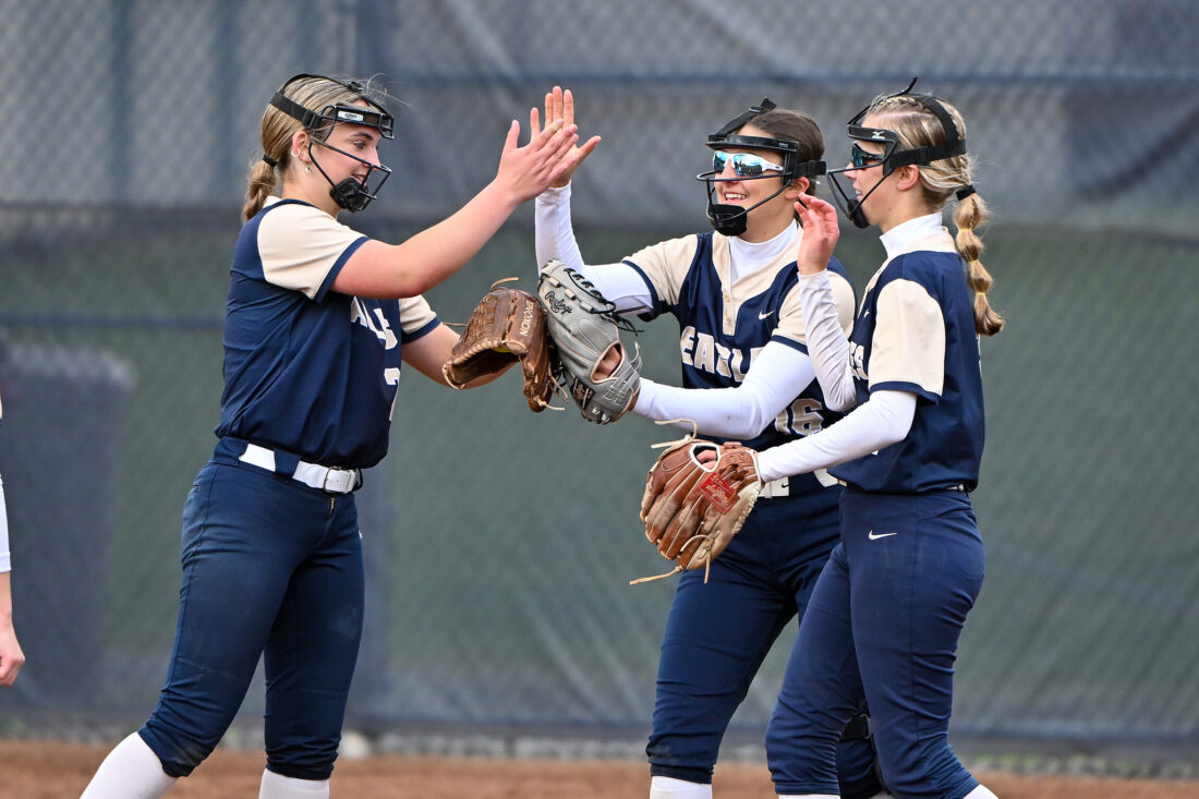 Walkoff homer from Gavlock sends Eagles to D6 AAA final, clinches PIAA ...